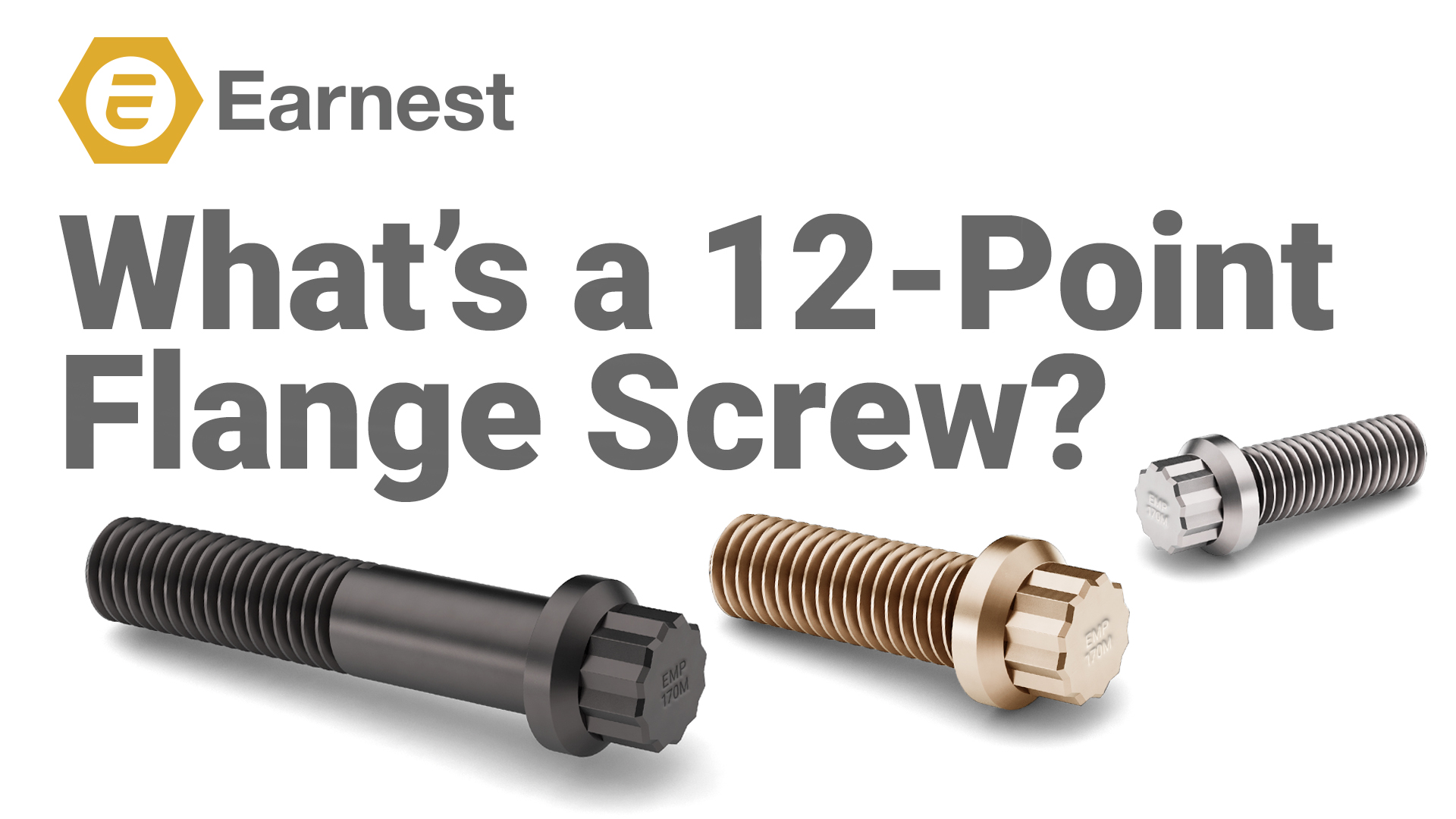 12 point bolt socket store